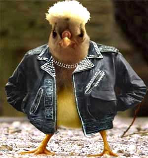 movimiento urbano: pollo-punk